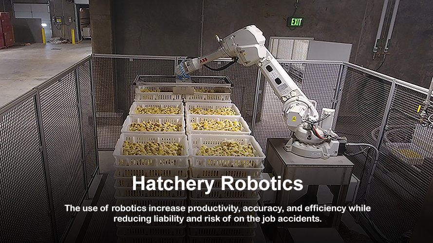 Hatchery Planning Company